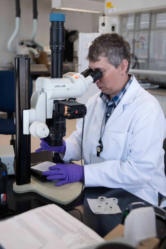How Does Asbestos Sample Testing Work? Lab Process